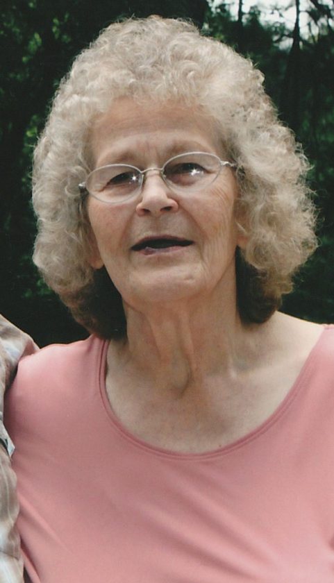 Joyce Ann Farnham Higgins | News, Sports, Jobs - Observer Today